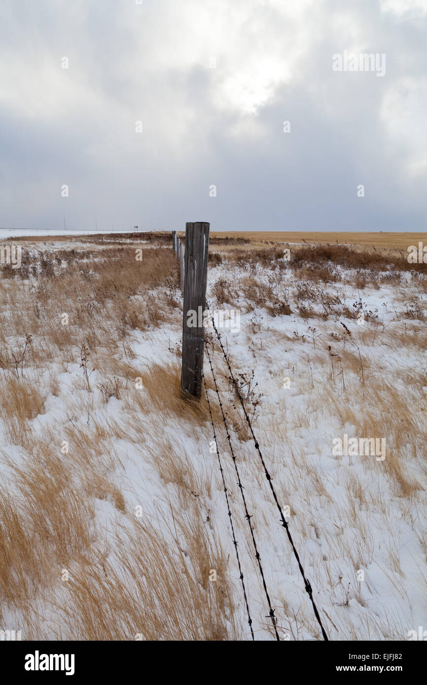 Prairie Winter, barbwire fence line Stock Photo - Alamy