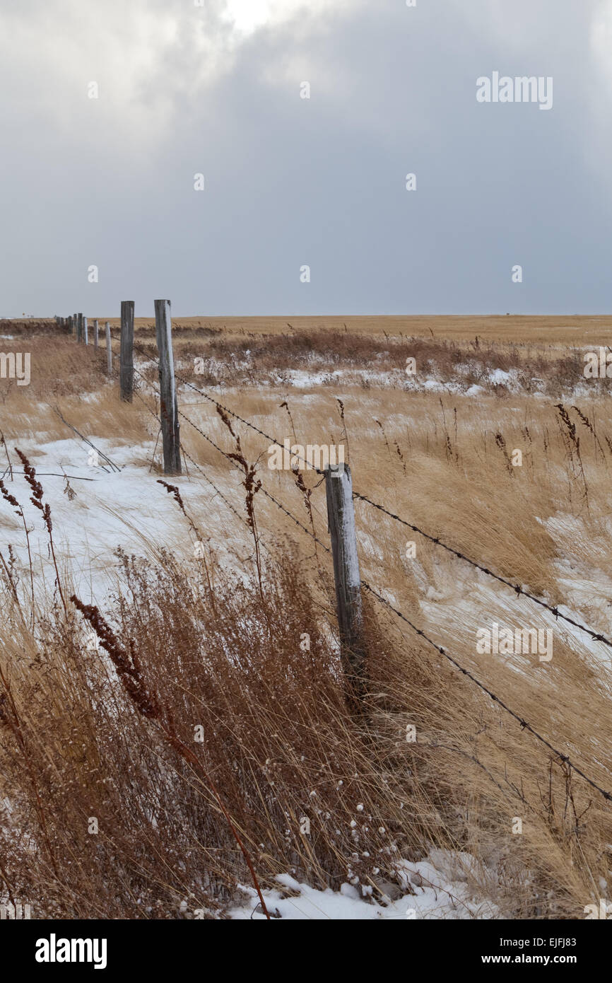 Barbwire fence hi-res stock photography and images - Alamy