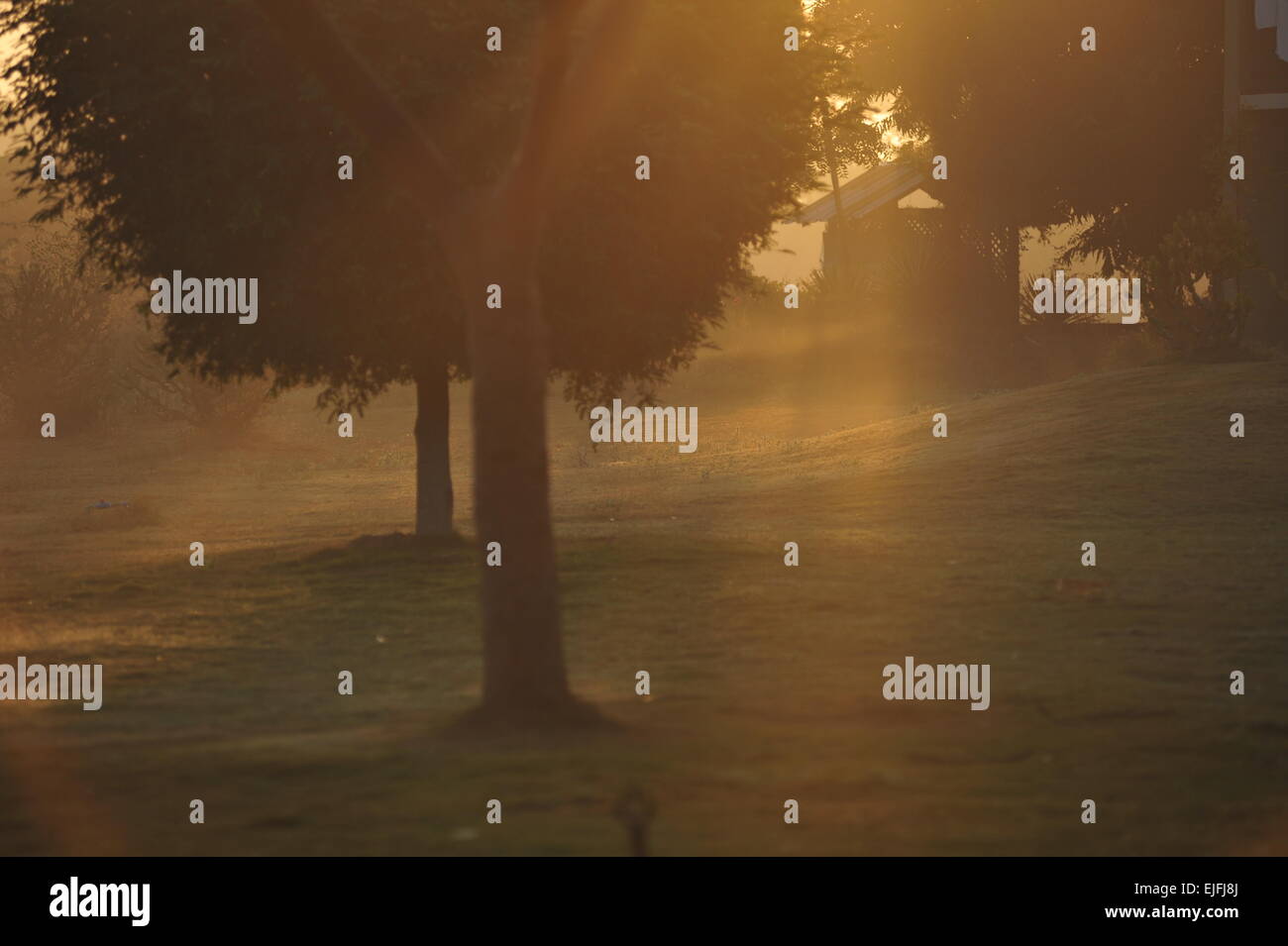 early morning with the first sun rays in Bagan Stock Photo - Alamy