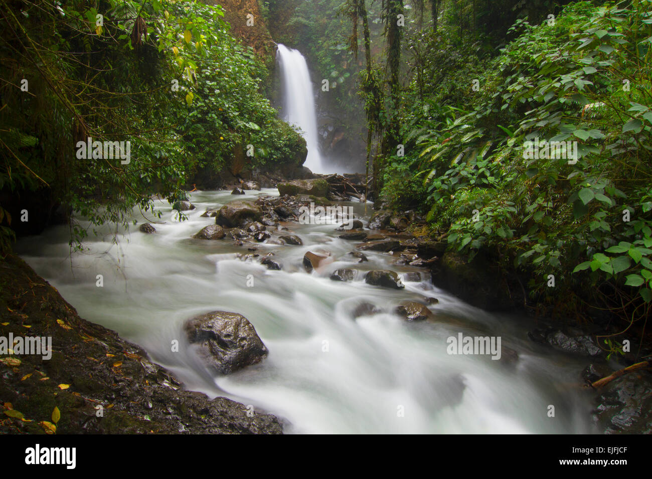 A beautiful Costa Rica Waterfall Stock Photo - Alamy