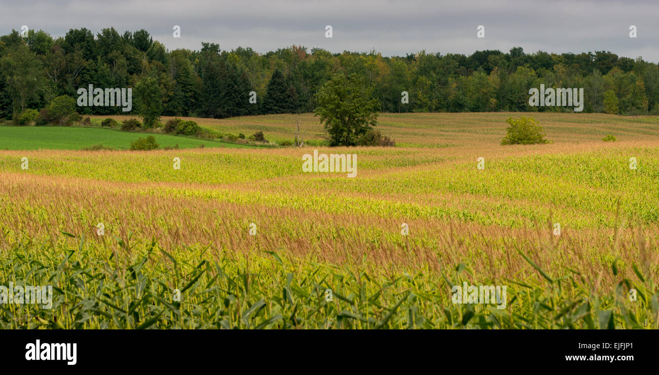 Rural quebec hi-res stock photography and images - Alamy