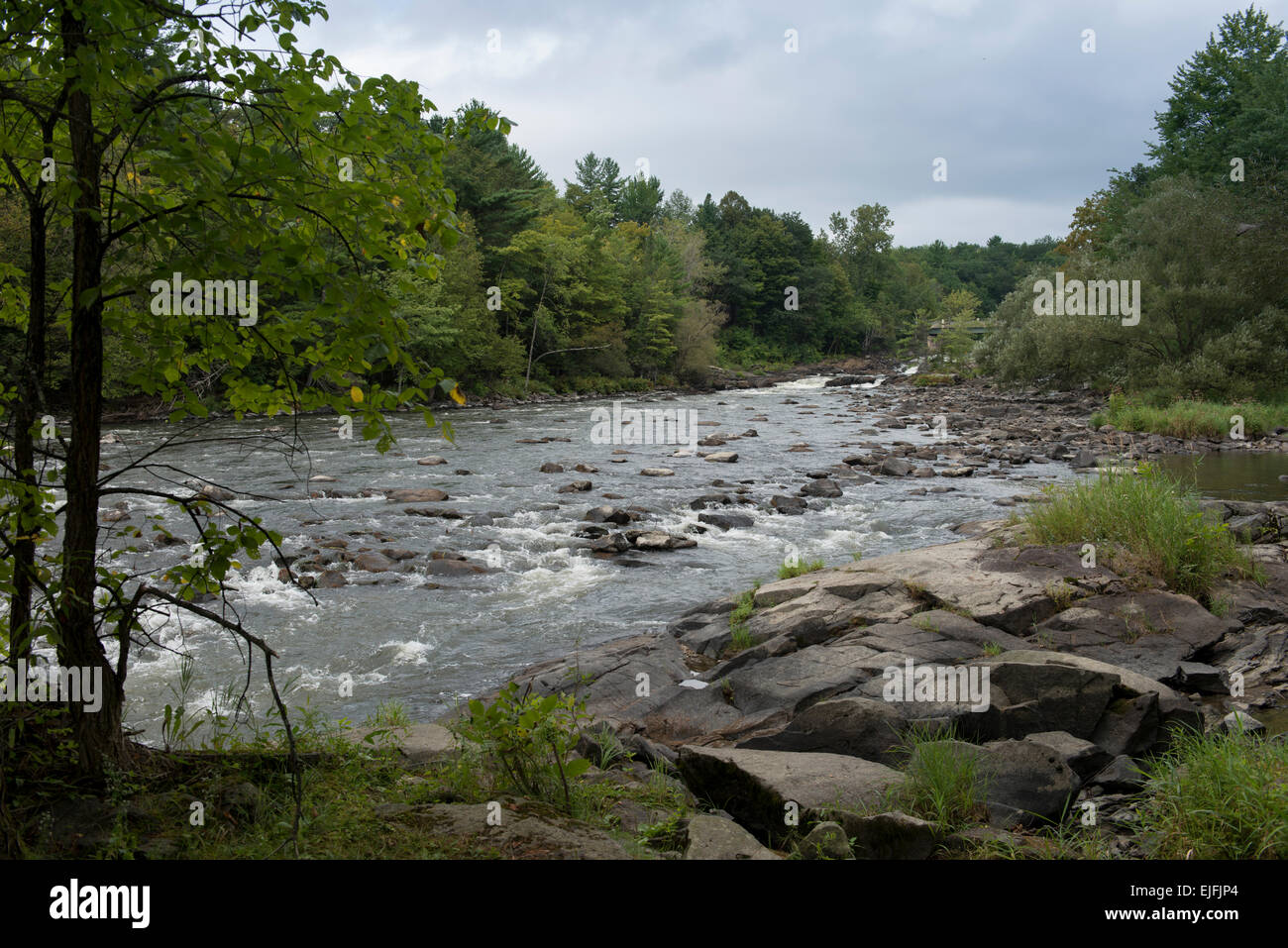 River flowing through a forest, Plaisance Falls, Petite-Nation River ...