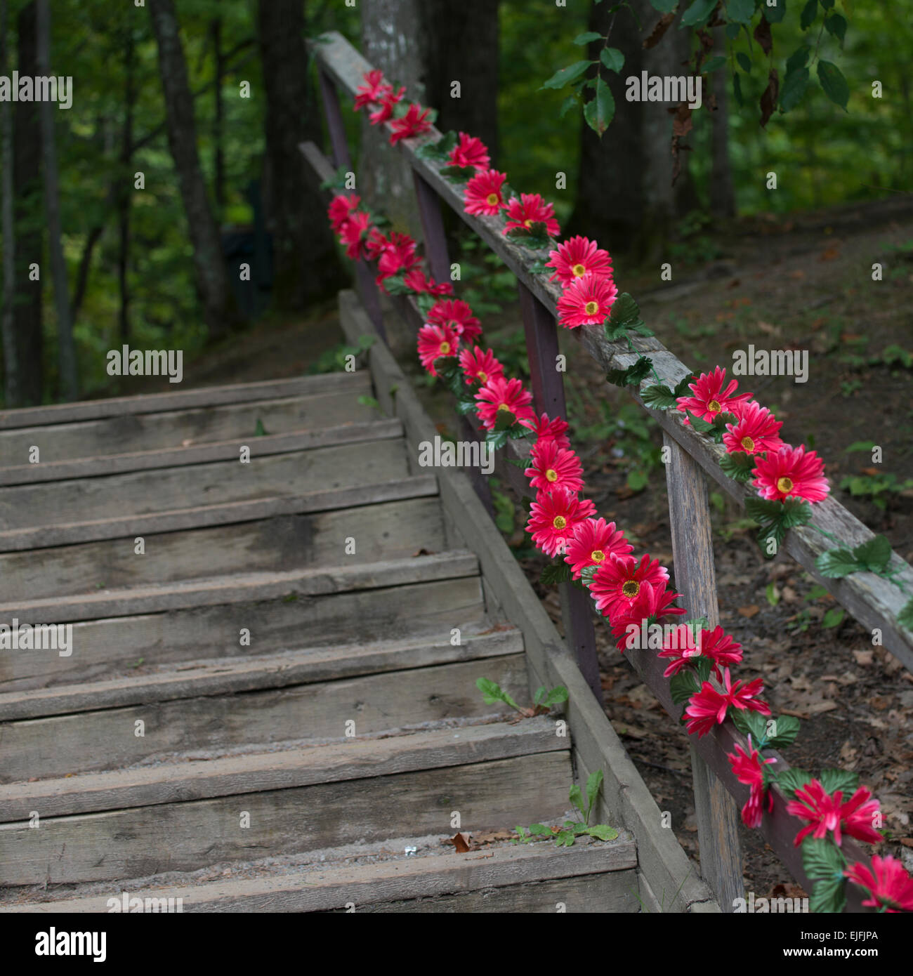 Thurso quebec hi-res stock photography and images - Alamy