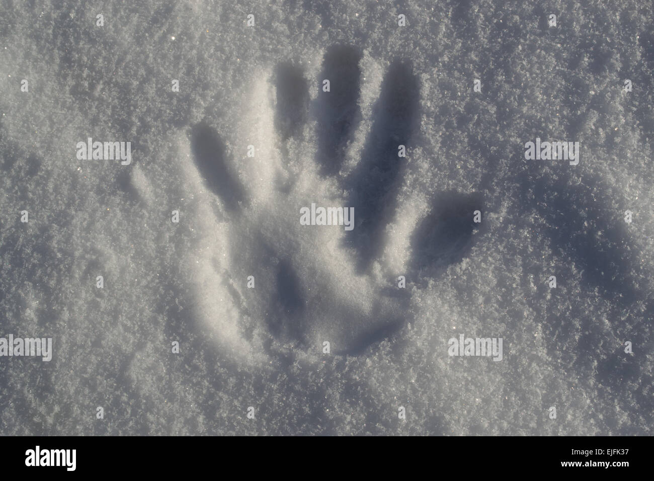 Single human hi-res stock photography and images - Alamy