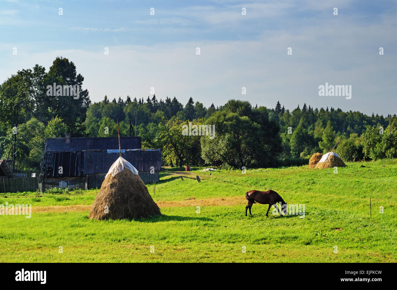 Rural landscape. Brown horse and haystack on pasture Stock Photo - Alamy