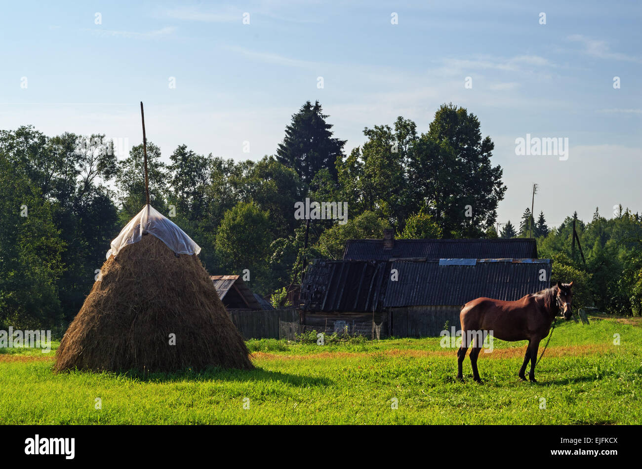 Rural landscape. Brown horse and haystack on pasture Stock Photo - Alamy