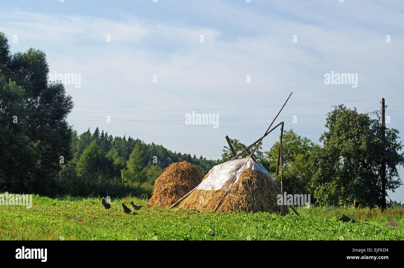 Haystacks in village Stock Photo - Alamy