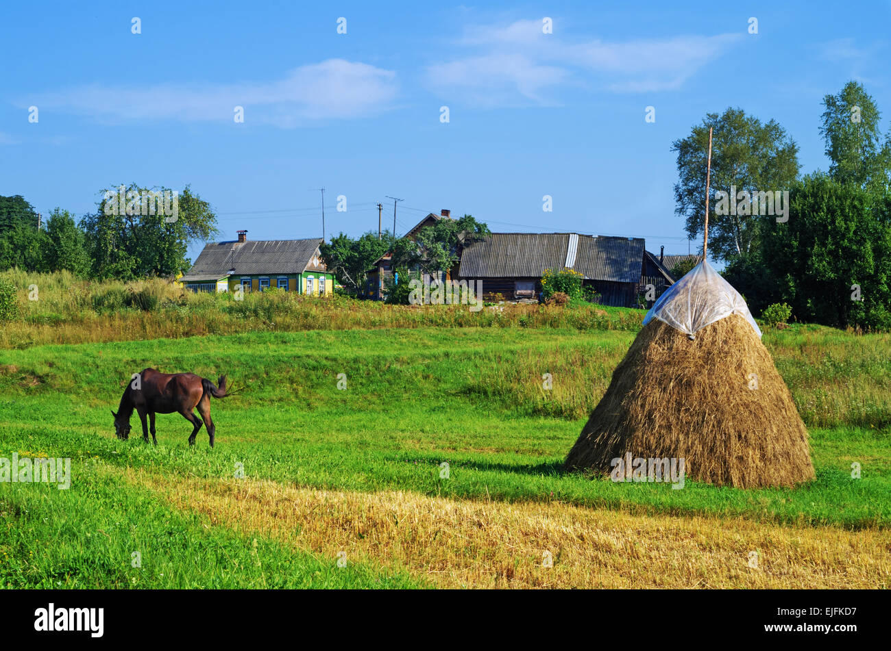 Rural landscape. Brown horse and haystack on pasture Stock Photo - Alamy