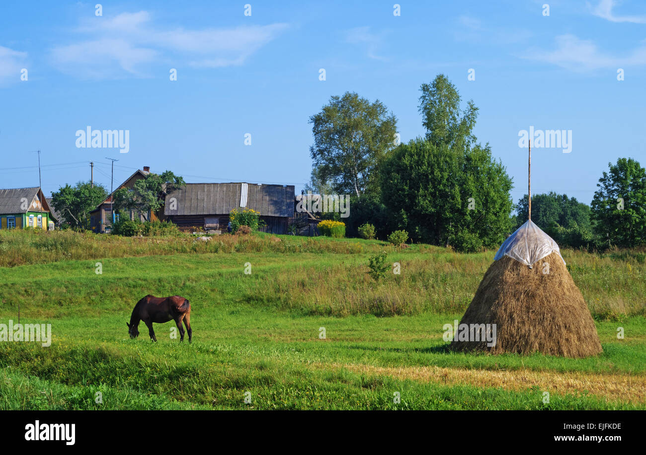 Rural landscape. Brown horse and haystack on pasture Stock Photo - Alamy