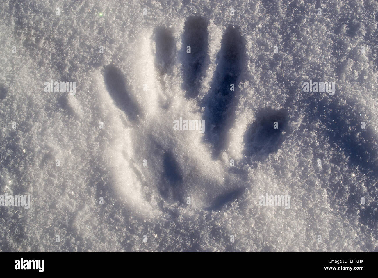 A single human hand print in fresh winter snow Stock Photo - Alamy