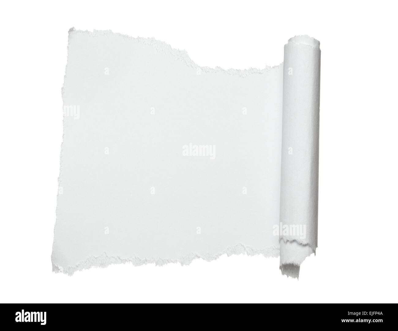 Old paper rolled banner hi-res stock photography and images - Alamy