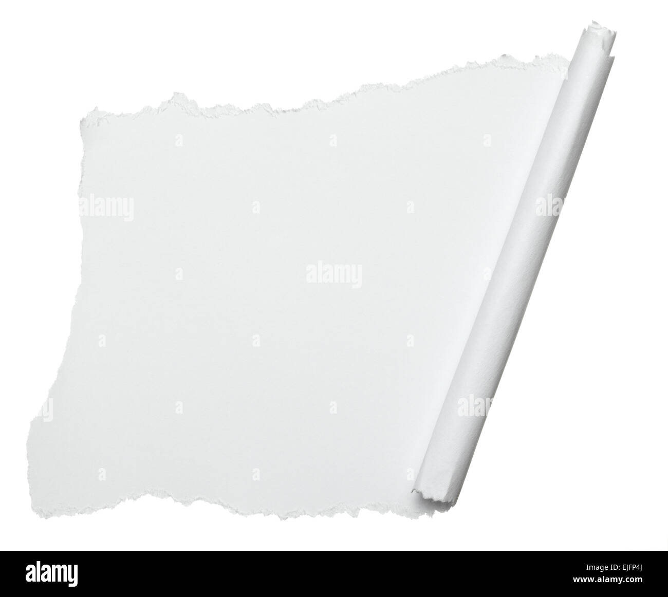 Ruffle Edge Around Label Paper