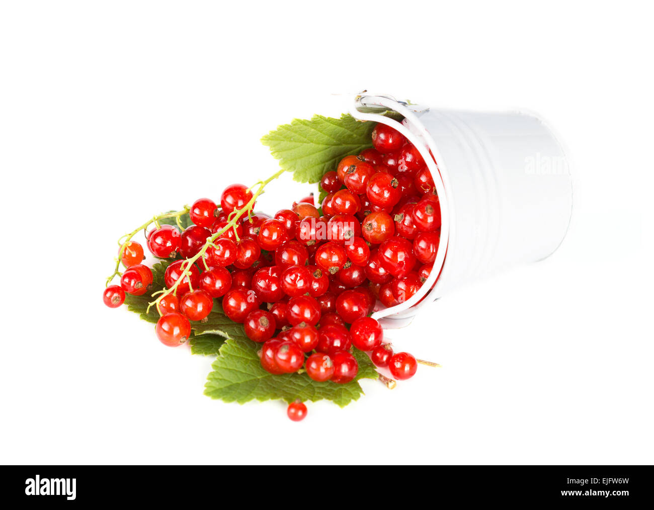 Red current fresh garden on white background Stock Photo - Alamy