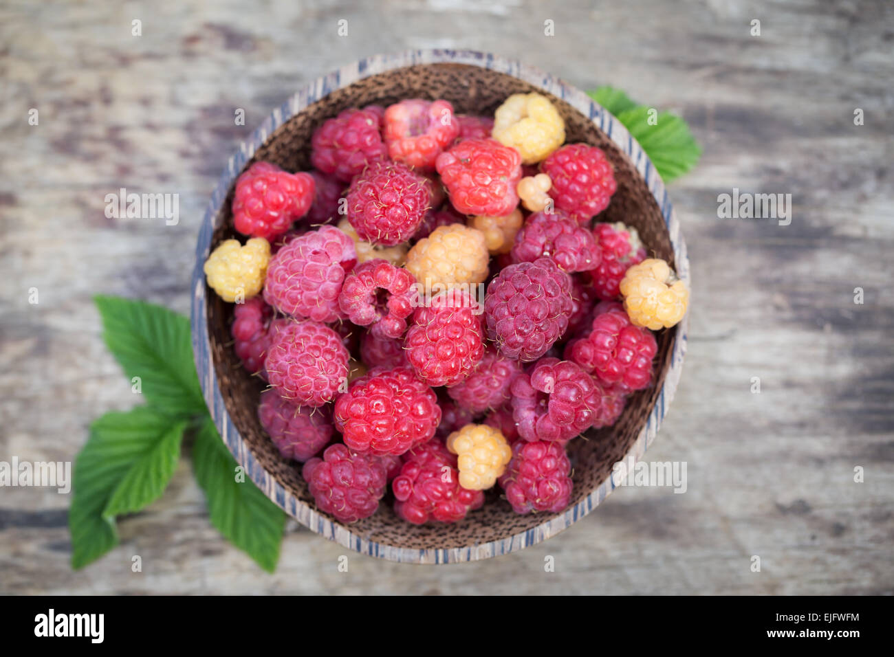 Fresh juicy sweet Raspberries in the garden Stock Photo - Alamy