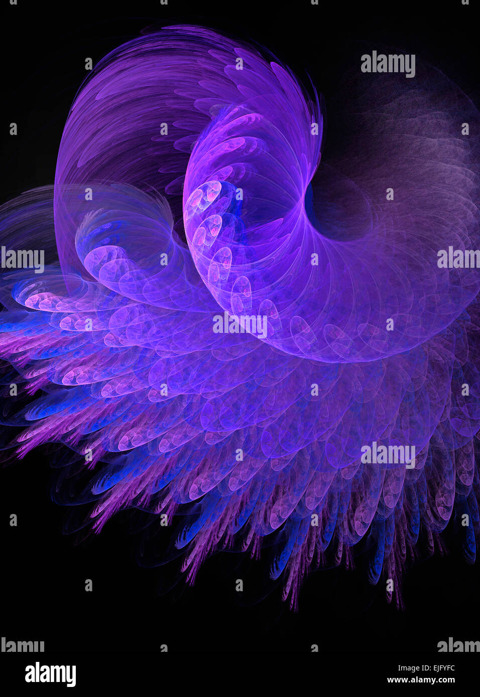 Ammonite design hi-res stock photography and images - Alamy