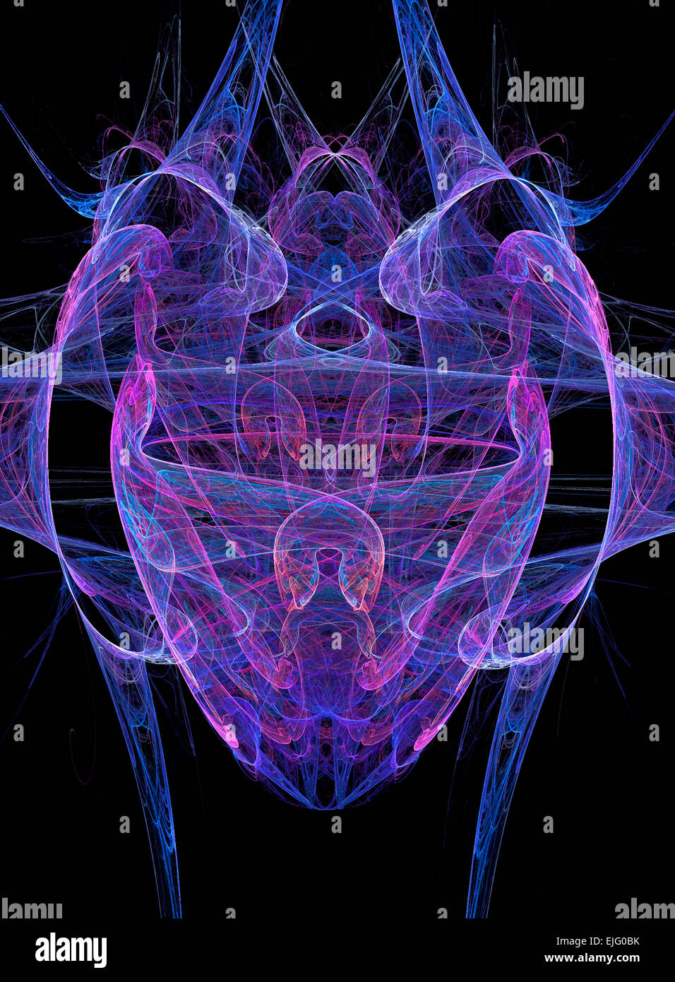 Arachnoid life hi-res stock photography and images - Alamy