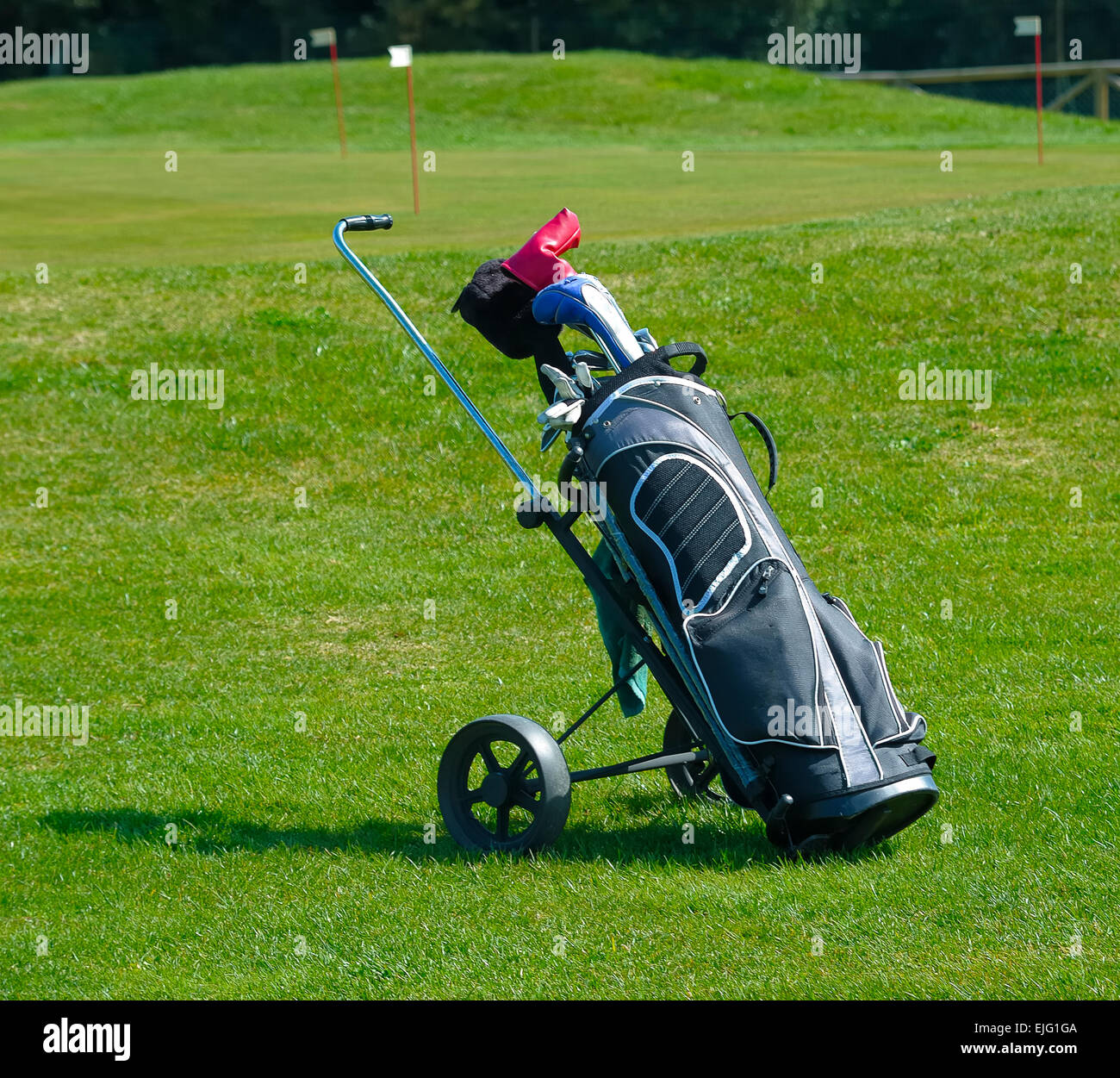 Golf bag in a golf course with a green background Stock Photo - Alamy