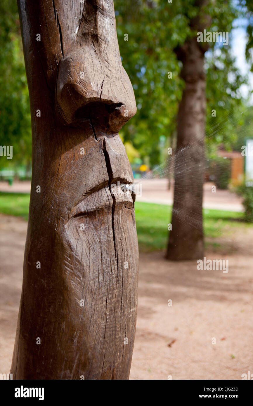 Scary face tree hi-res stock photography and images - Alamy