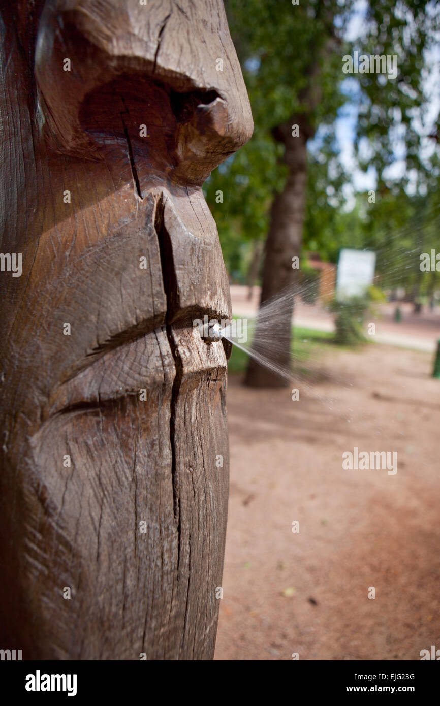 Scary face tree hi-res stock photography and images - Alamy