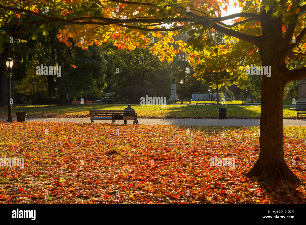 Prospect park fall colors Brooklyn NY Stock Photo - Alamy