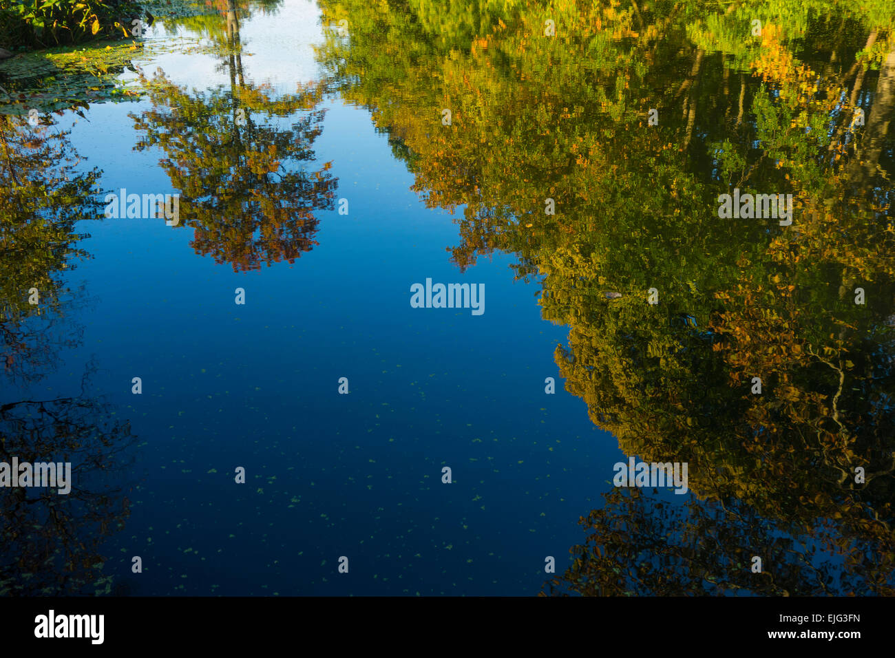Prospect park lake trees hi-res stock photography and images - Alamy