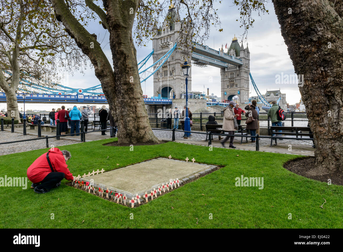 Tower Bridge and Red Poppy Crosses, London, UK Stock Photo - Alamy