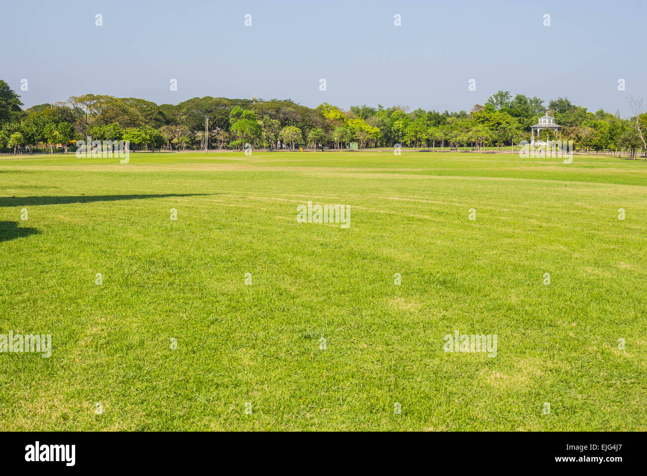 Newly cut lawn hi-res stock photography and images - Alamy