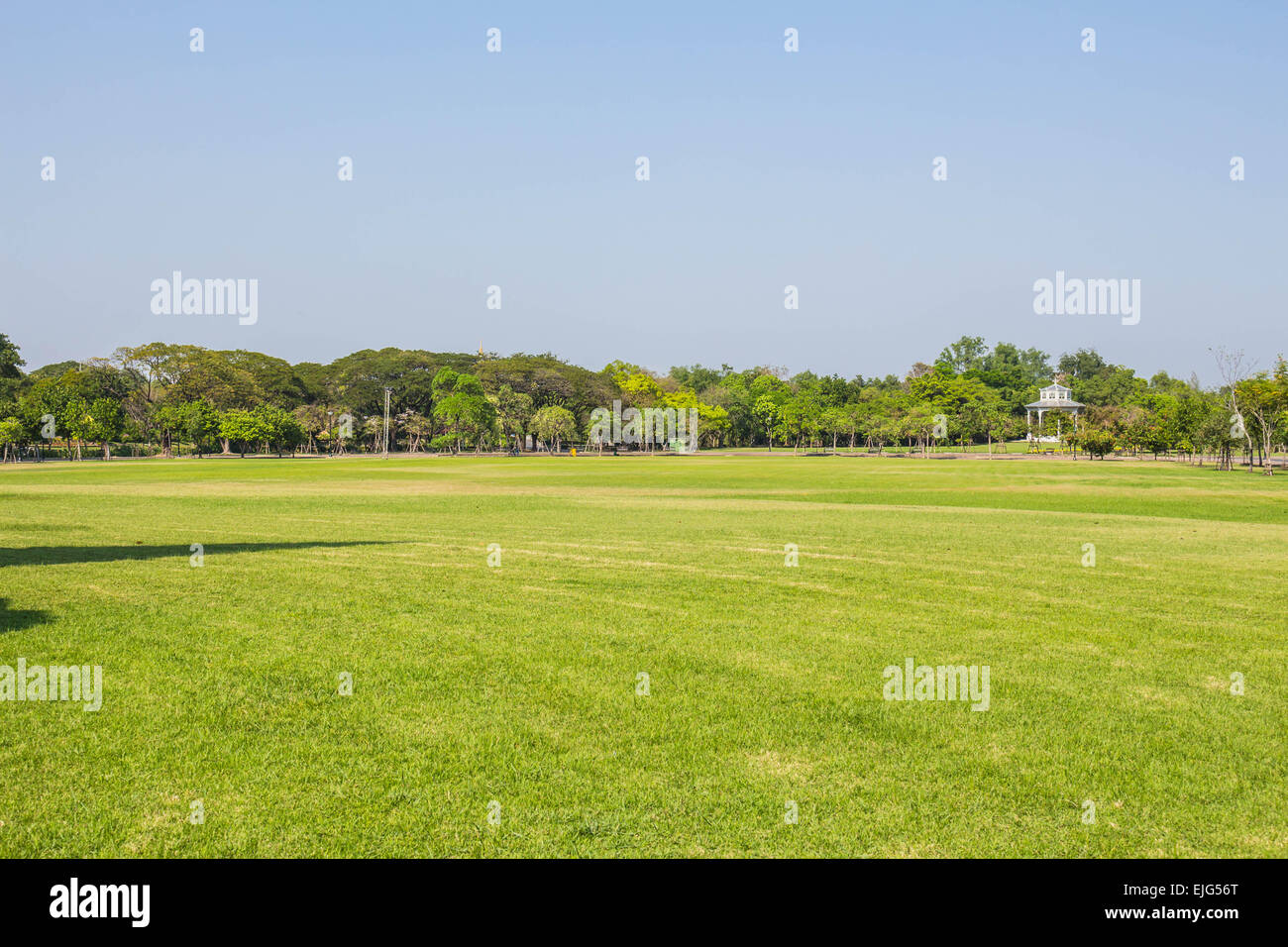 Newly cut lawn hi-res stock photography and images - Alamy