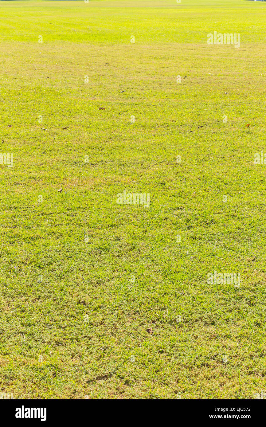 Lush surfaces hi-res stock photography and images - Alamy