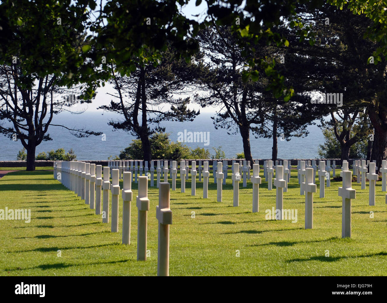 Rows of white crosses in the Normandy American Cemetery and Memorial ...