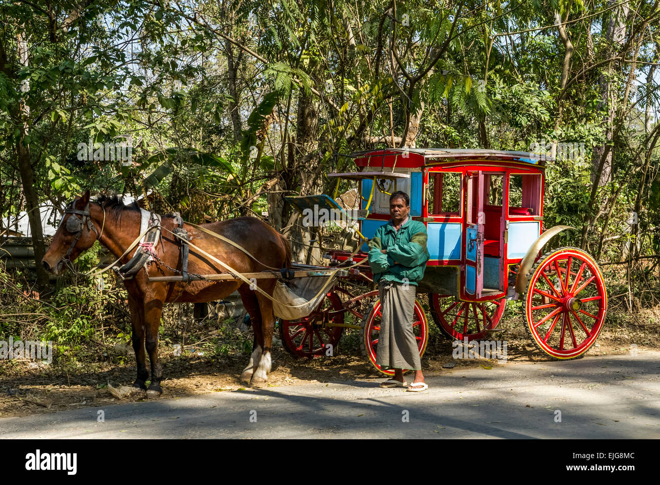 Horse drawn taxi carriage at Pyinoolwn Gardens Stock Photo - Alamy