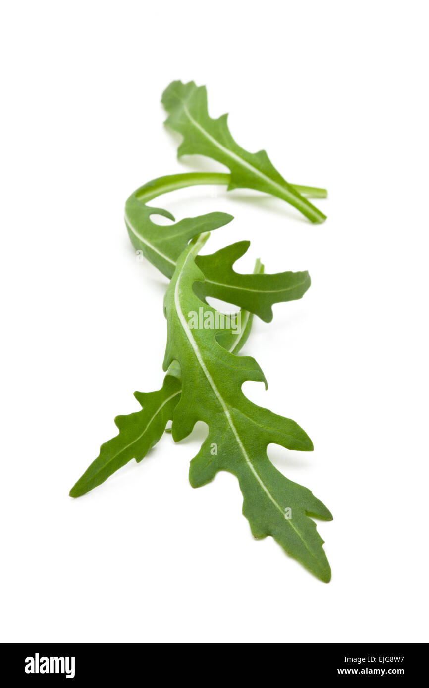 Fresh rocket leaves Stock Photo - Alamy