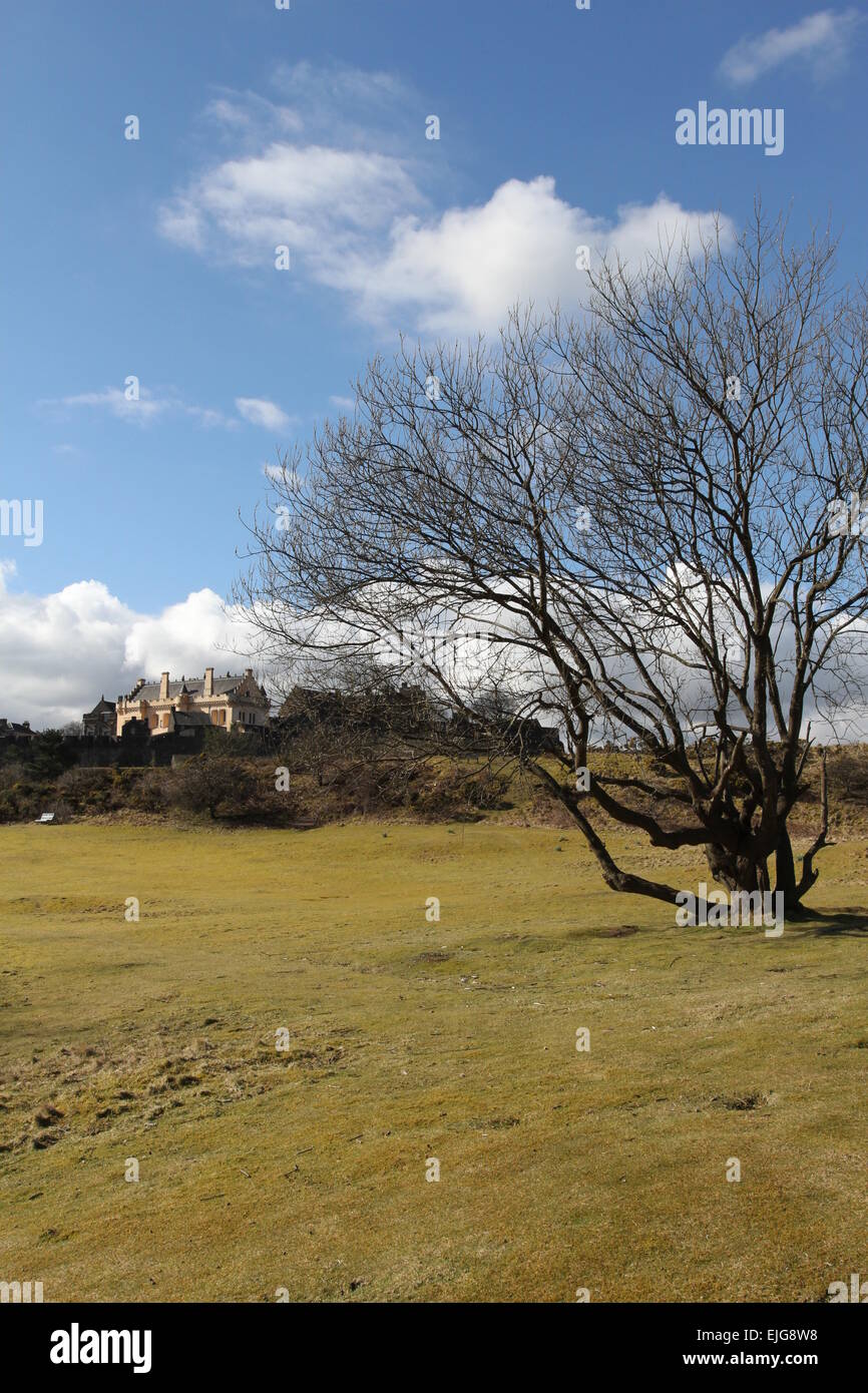 Tree and Stirling Castle Gowan Hill Scotland March 2015 Stock Photo - Alamy
