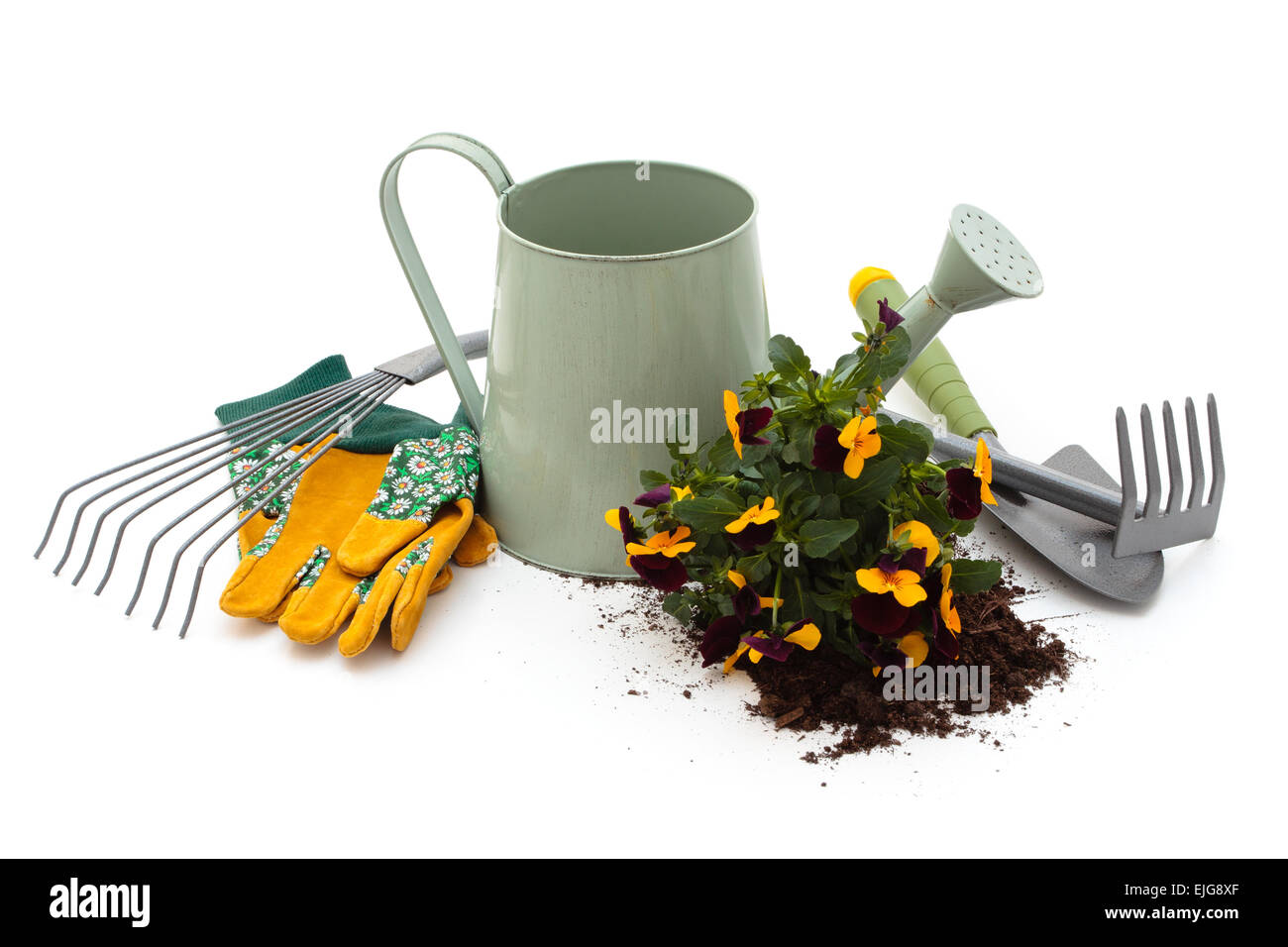 Watering can tool Cut Out Stock Images & Pictures - Alamy