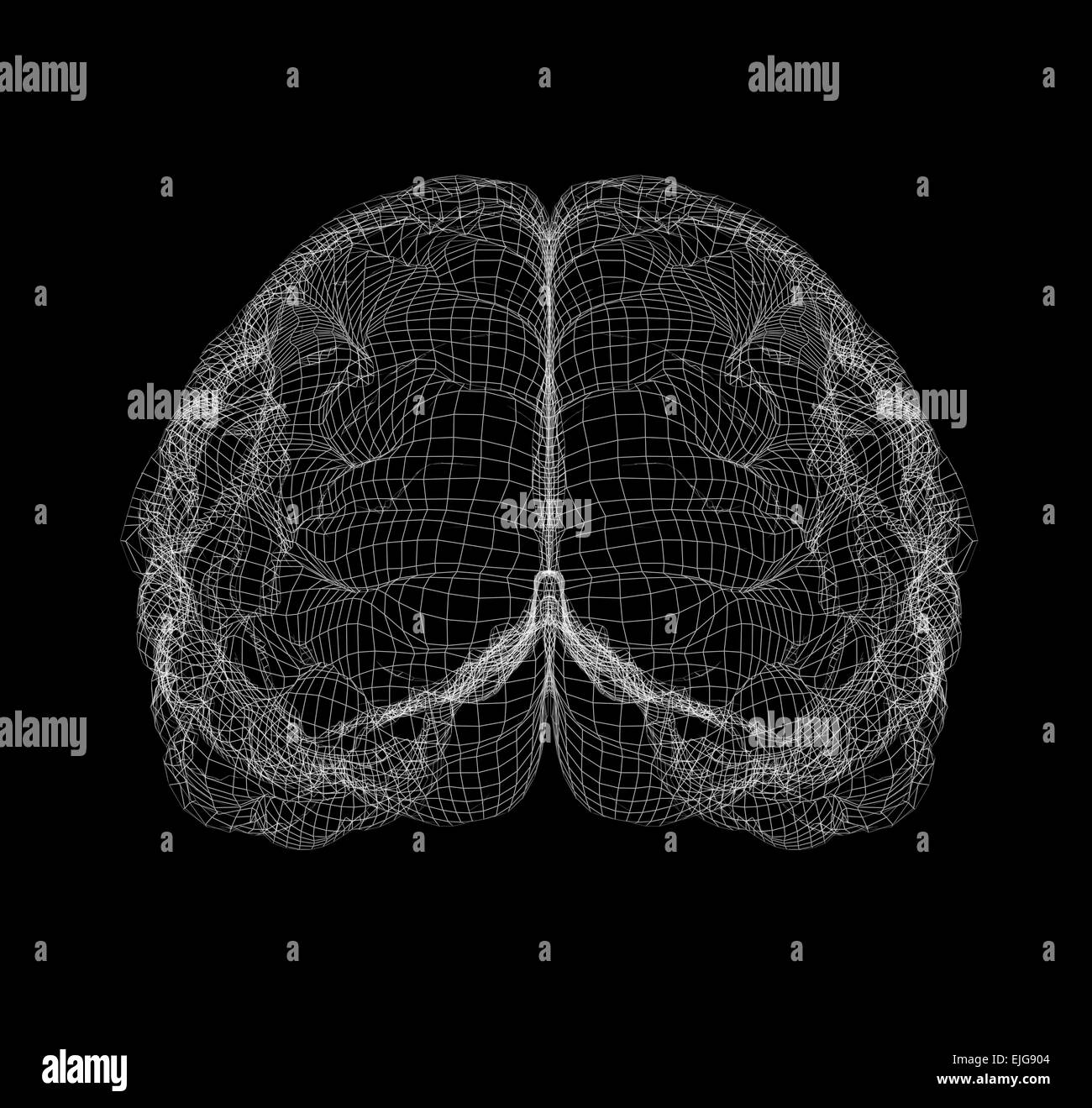 Occipital region hi-res stock photography and images - Alamy