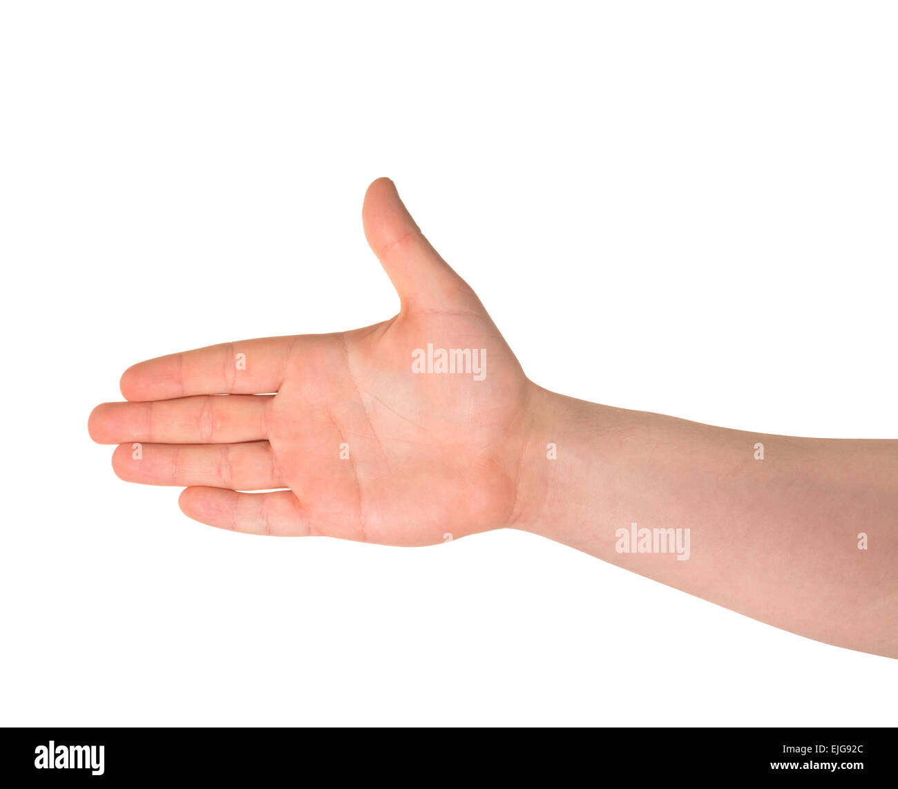 Opened hand palm gesture isolated Stock Photo - Alamy