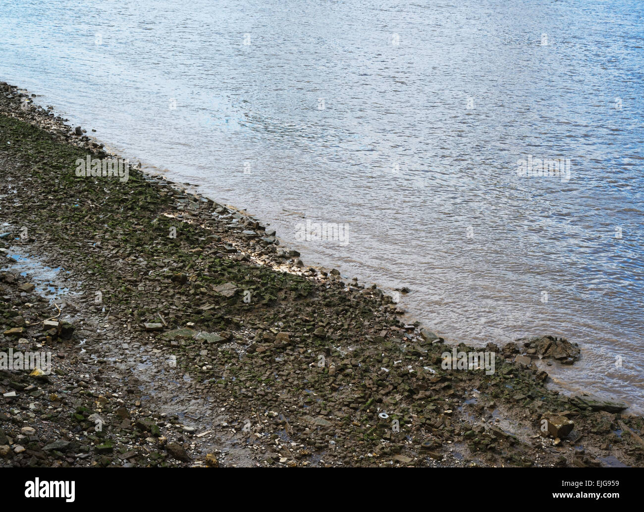 River Thames shore Stock Photo - Alamy