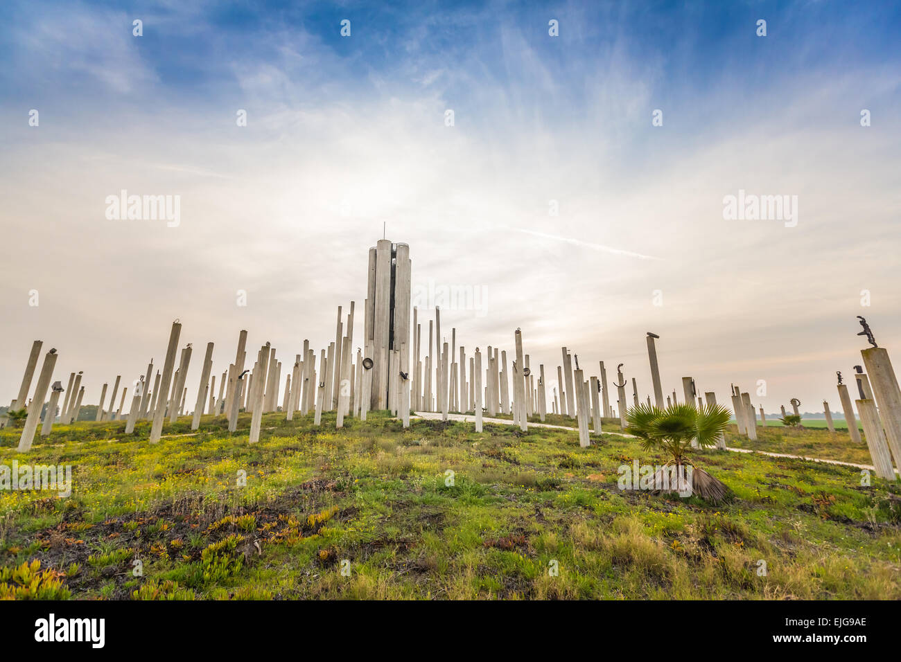 Green in the pillars grass hi-res stock photography and images - Alamy