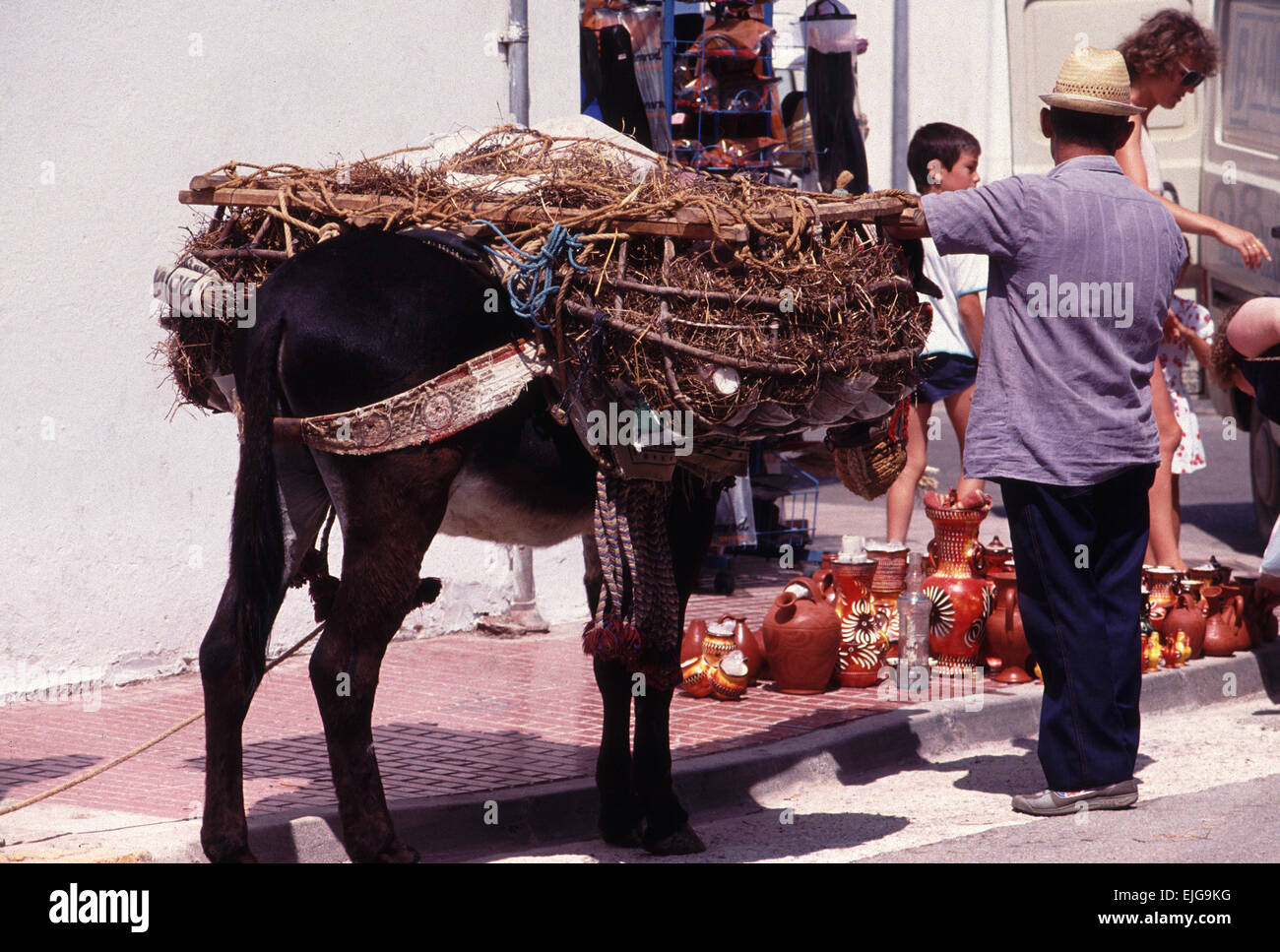 Man donkey spanish hi-res stock photography and images - Alamy