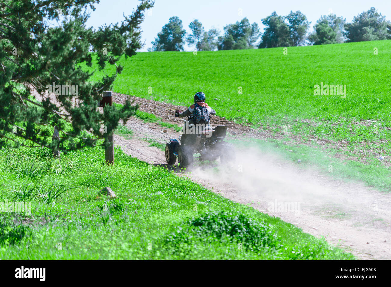 Grass growing along rural road hi-res stock photography and images - Alamy