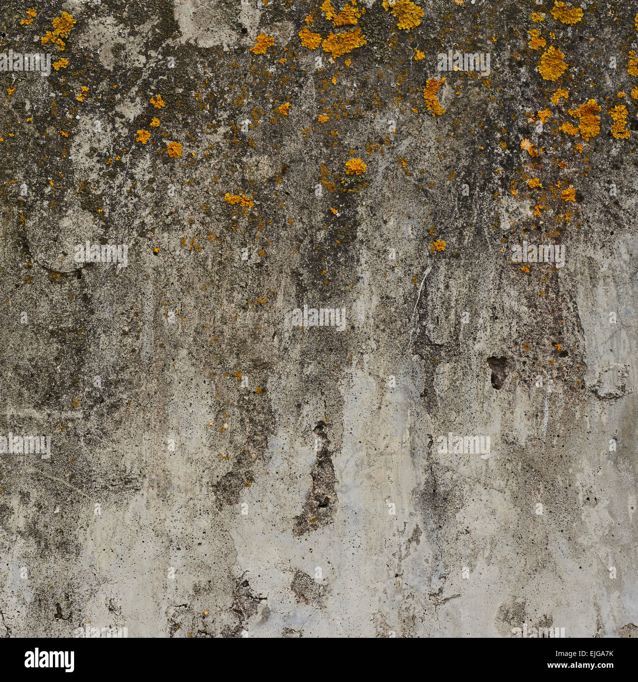 Old concrete wall Stock Photo - Alamy