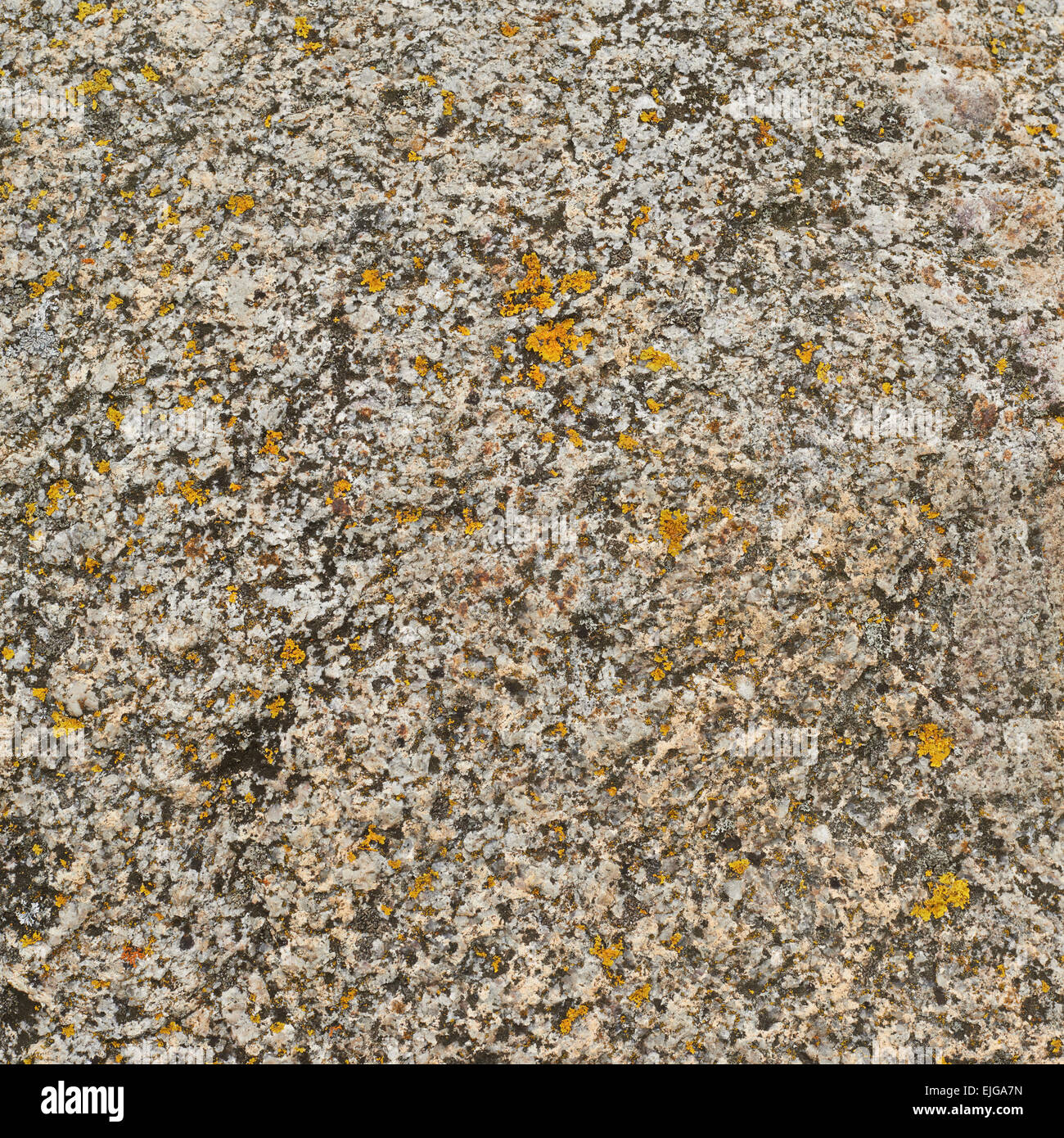 Stone surface texture Stock Photo - Alamy