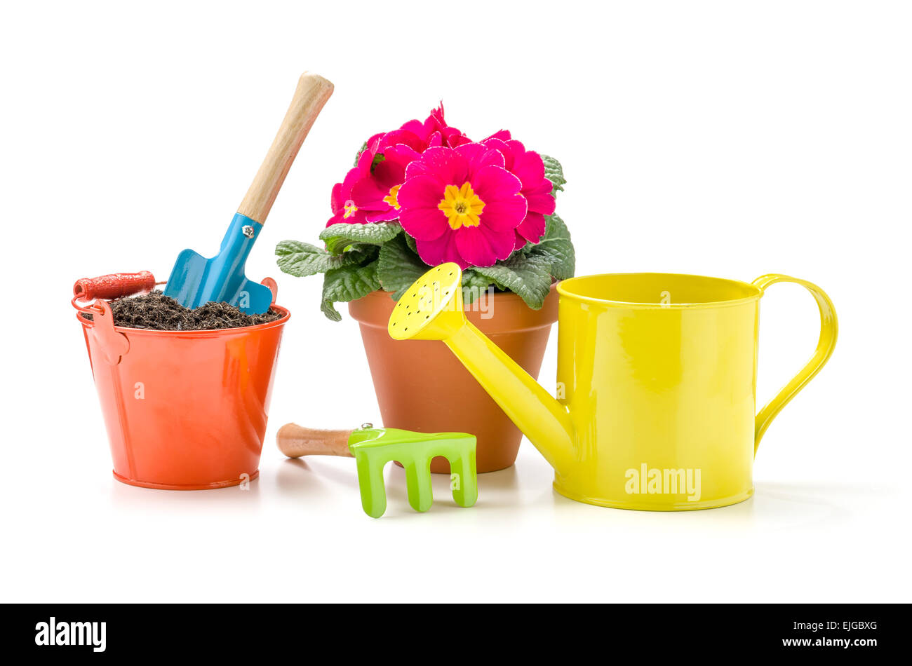 Colorful garden tools and a Primrose on a white background Stock Photo ...