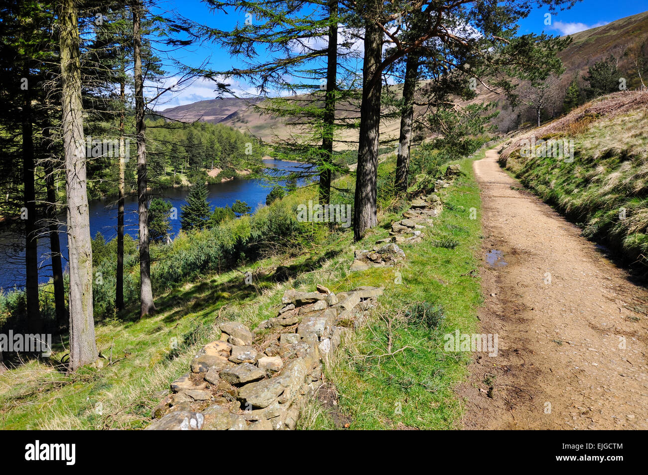Upper derwent valley hi-res stock photography and images - Alamy