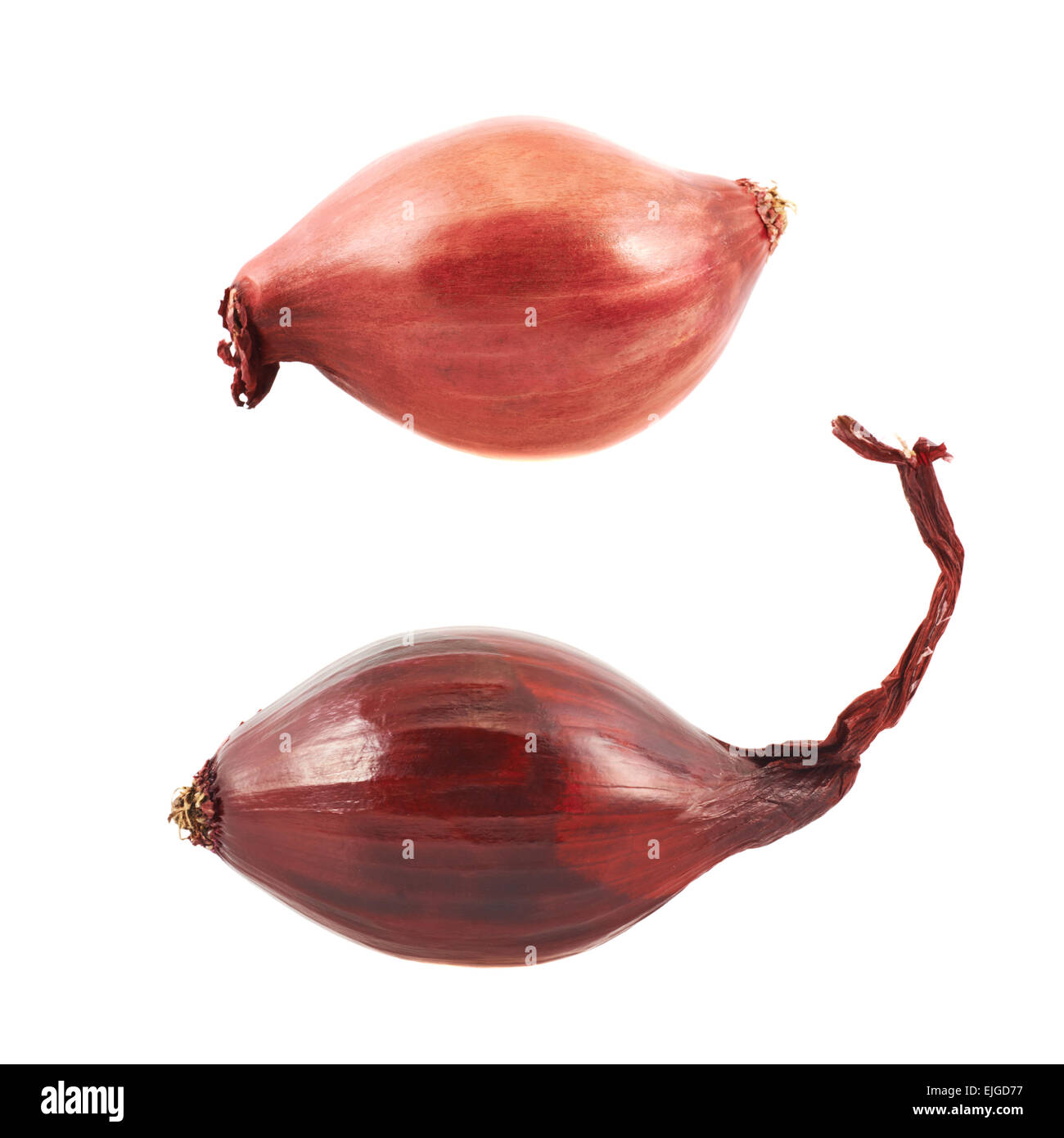 Red onion isolated Stock Photo - Alamy