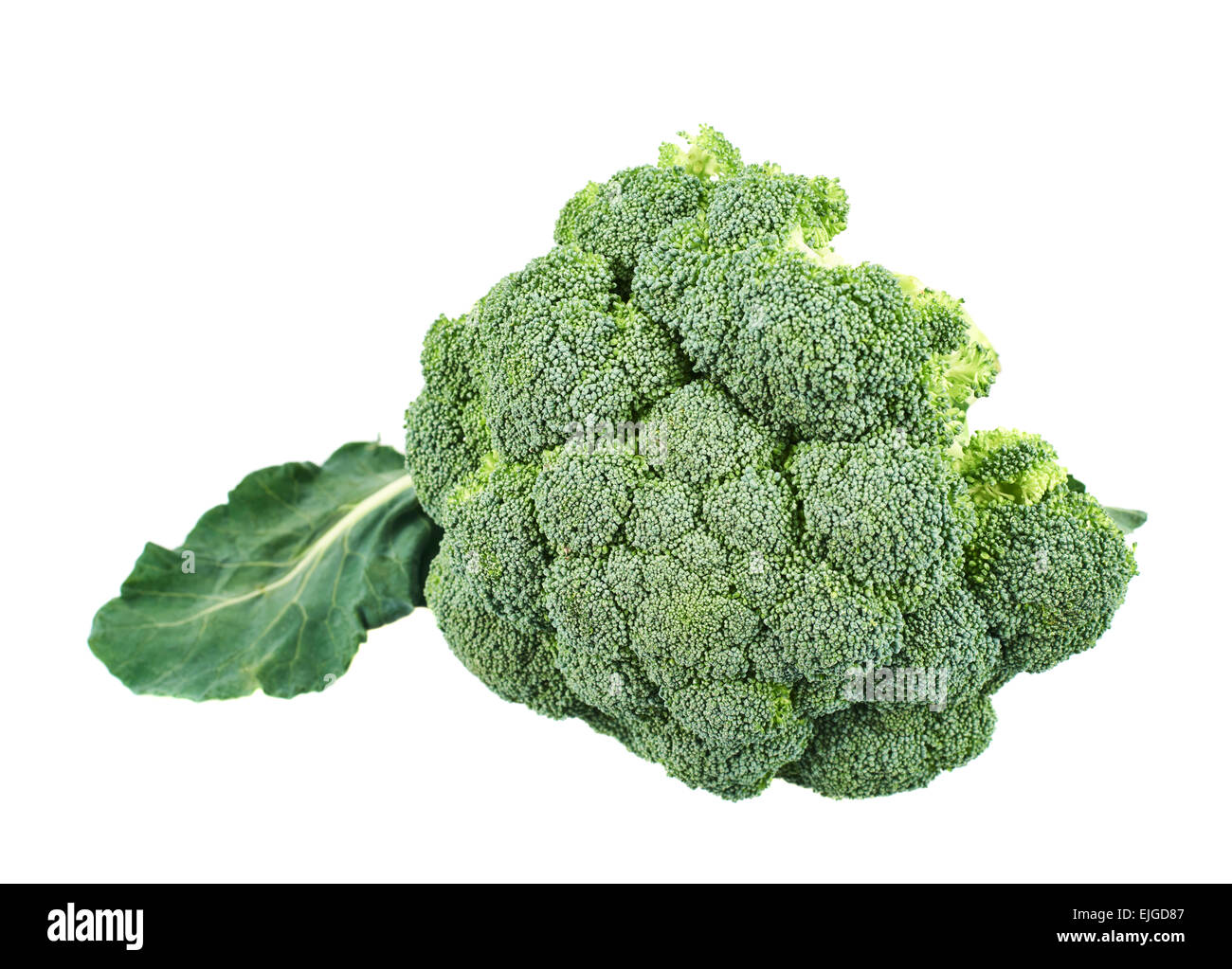 Green broccoli isolated Stock Photo - Alamy