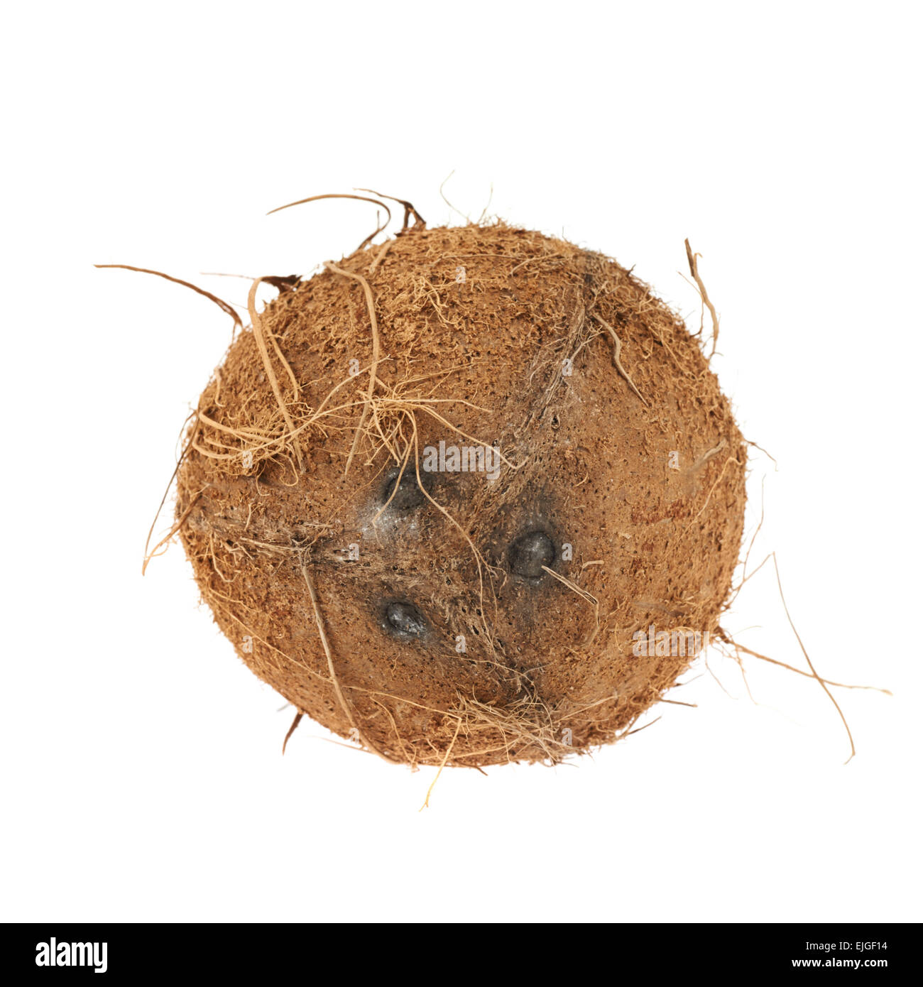 Whole coconut fruit isolated Stock Photo - Alamy