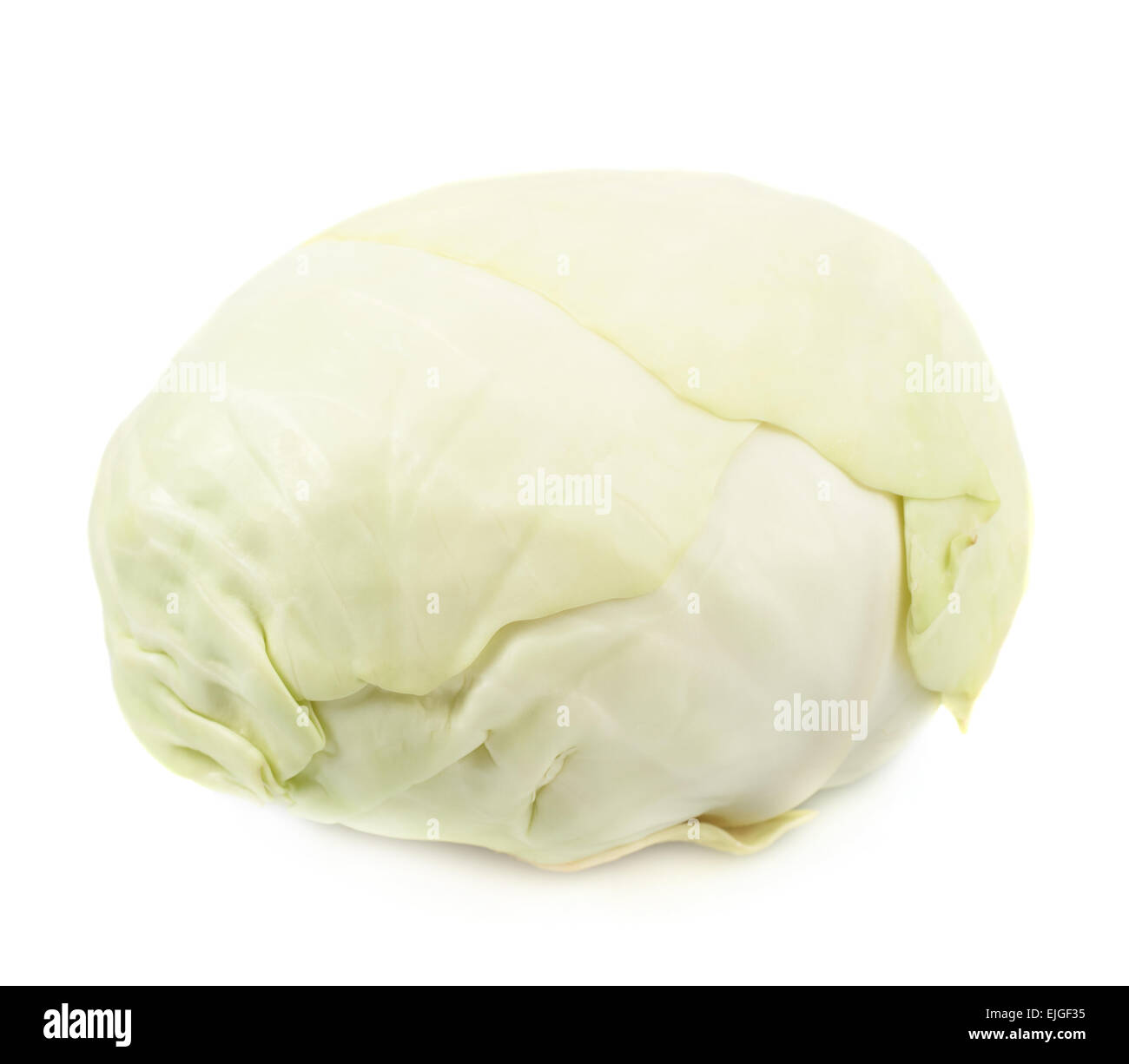 White cabbage isolated Stock Photo - Alamy