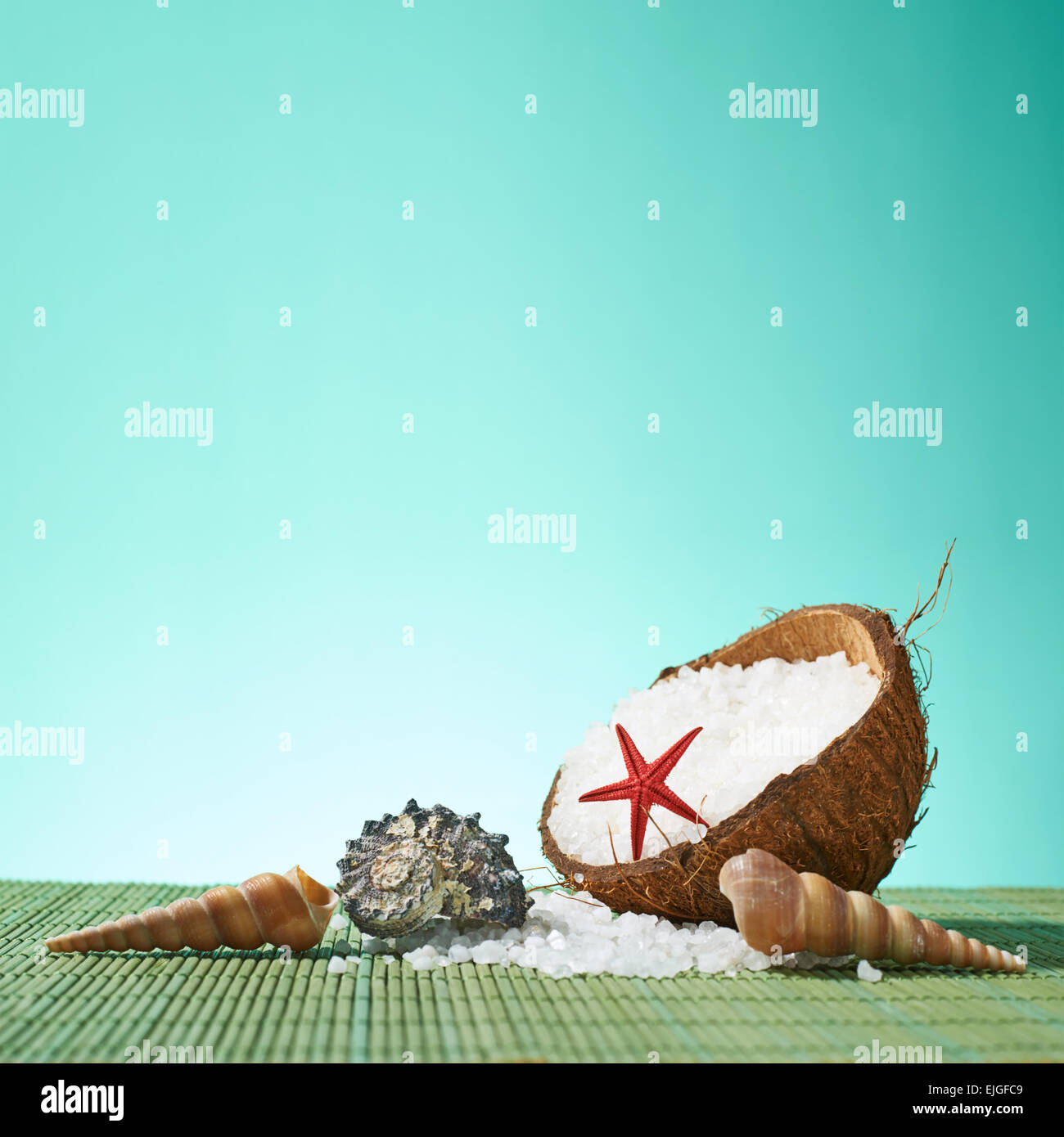 Seashells and coconut shell composition Stock Photo - Alamy