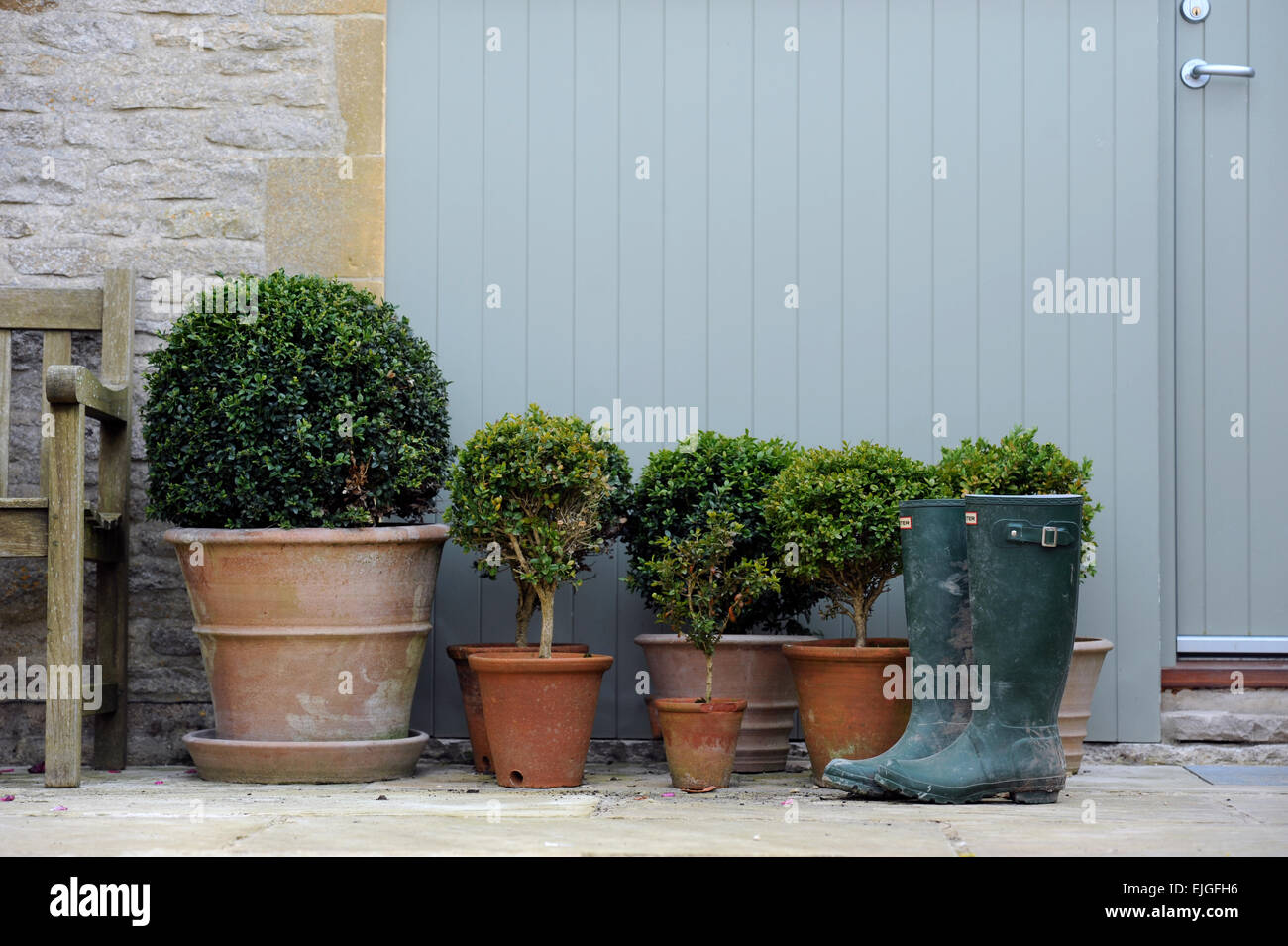 Potted box hedges with wellies by the door to a Cotswold barn ...